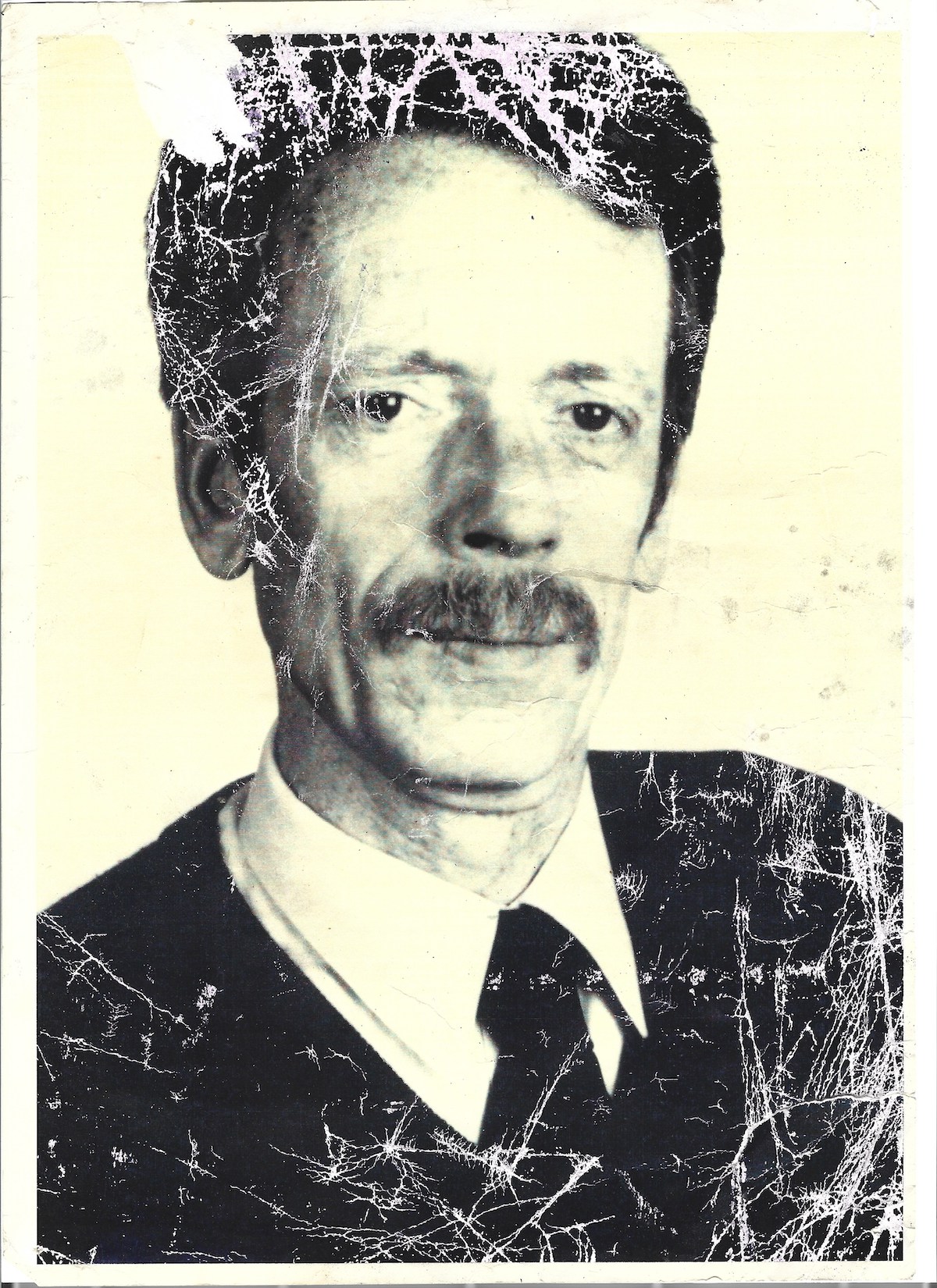 Restauration d'image - taraschmitt.com